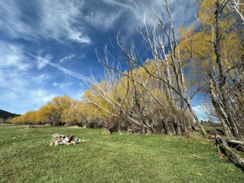 Danielle Morrill – I can see the future, because I live in it today.