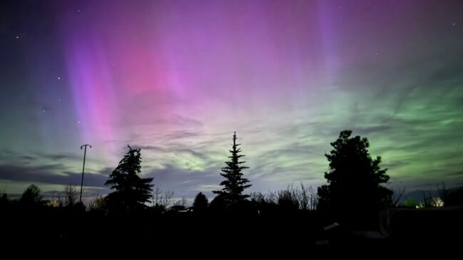 Danielle Morrill – I can see the future, because I live in it today.